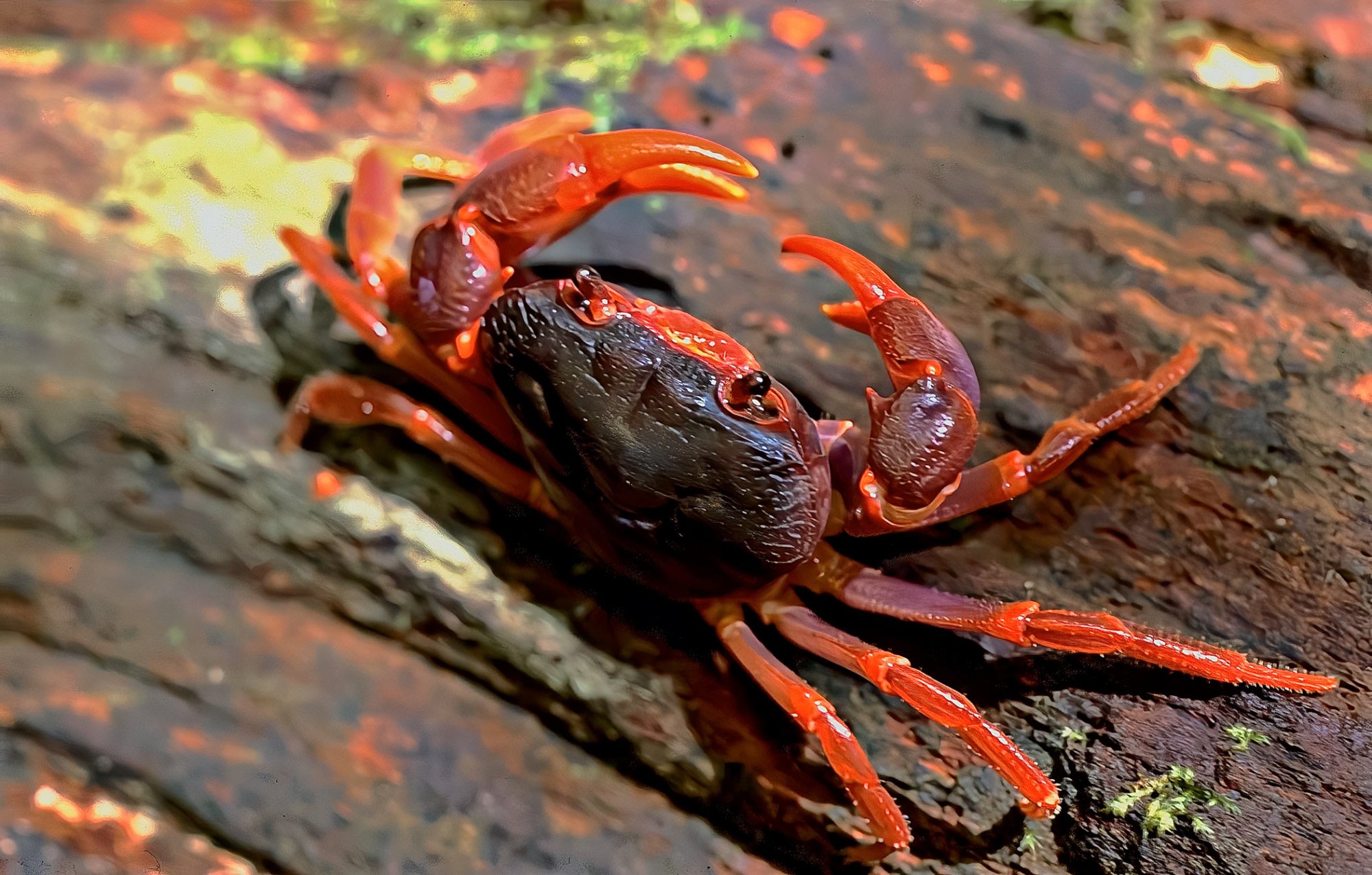 Palawan Expedition - Home